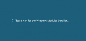 Please wait for the Windows Modules Installer - WinCert